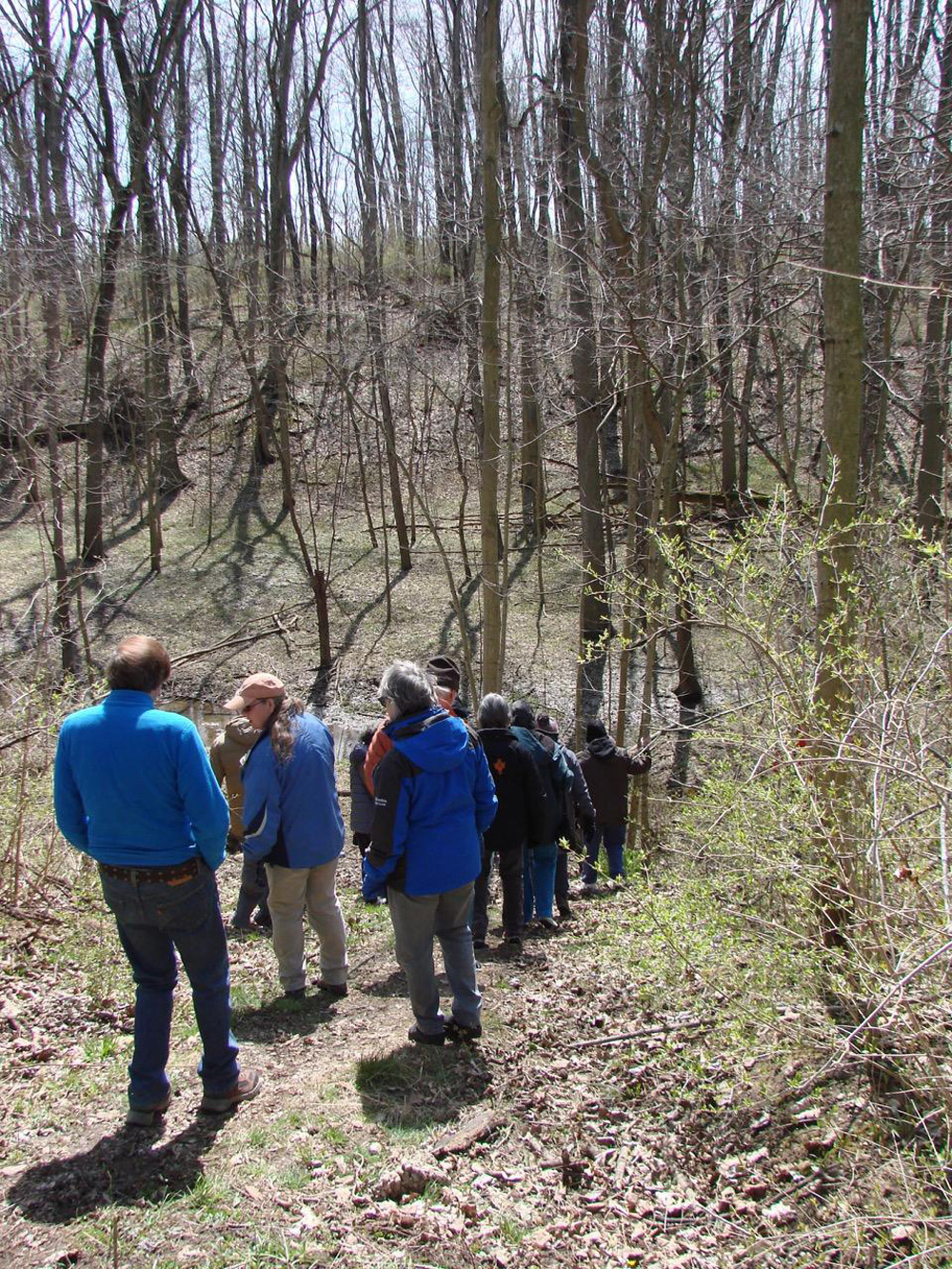 2018 Annual Plant Walk | Friends of The Ravines